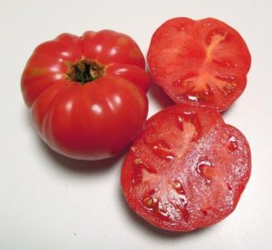 Sweet Adelaide – Dwarf Tomato Project