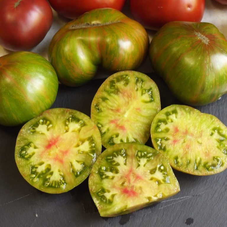 Dwarf Peppermint Stripes – Dwarf Tomato Project