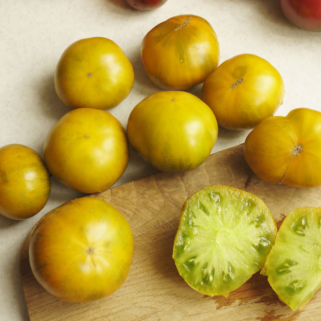 Dwarf Amy’s Ohio – Dwarf Tomato Project