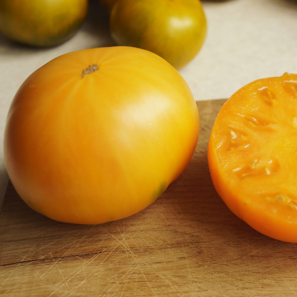 Orange – Dwarf Tomato Project